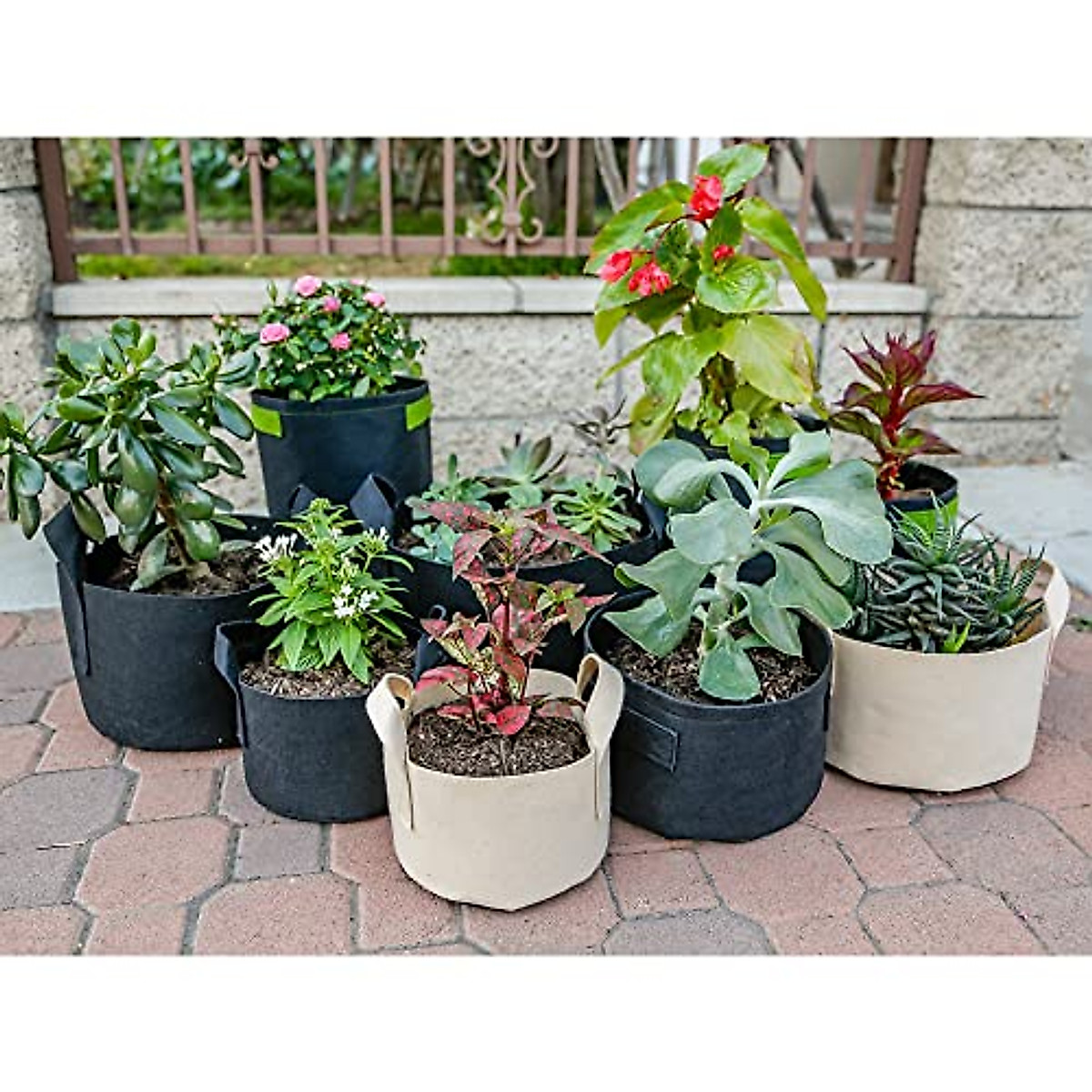 247Garden 5-Pack 7-Gallon Aeration Fabric Pot/Plant Grow Bag w/Handles (260 GSM, Black, 12H x 13D)