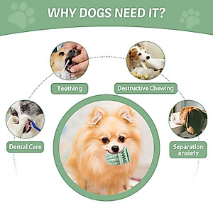 COMFPET Dog Chew Toys for Teething and Cleaning, Rubber Puppy Toys, Dog Dental Chews Toy, Interactive Dog Toys for Small/Medium Dog, Cactus Shape(Green)