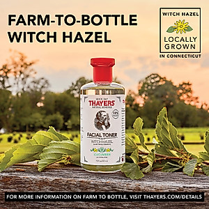 THAYERS Alcohol-Free Cucumber Witch Hazel Toner with Aloe Vera Pack of 3