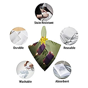 Cloth Napkins 20 x 20 Inch Set of 4 Zen Spa Reusable Washable Paper Napkins Butterfly Orchid Zen Basalt Stones Candle Purple Hand Towels for Picnic Party Table Decorations