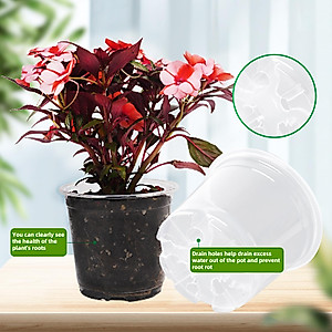 Oubest 50Pcs Clear Nursery Pots Variety Pack Plastic Pots for Plants Orchid Potting 3.5 5 6 Inch Mix Seedling Pots with Drainage Holes Indoor Outdoor Flower Pots