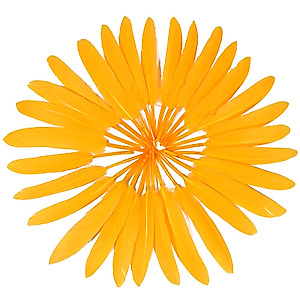 FeelfunFeather 120pcs Golden Yellow Goose Cochettes Feather Natural bulk 4-6 inch 10-15cm for Wedding Party Christmas Halloween Decorations DIY Crafts Goose Cochettes Feather