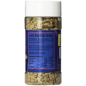 San Francisco Bay Brand ASF71104 Freeze Dried Brine Shrimp for Fresh and Saltwater Fish, 10gm
