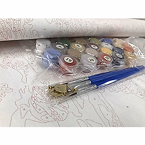 DIY Oil Canvas Painting, Paint by Numbers Kit, 16x20 inch with Brushes and Acrylic Pigment, Frameless, Flower Girl