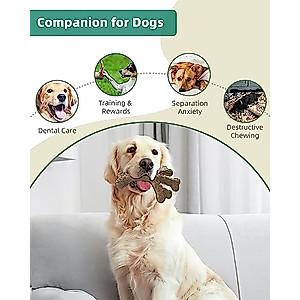 Boutiray Dog Chew Toy for Aggressive Chewers Real Bacon Flavor Nylon Bone Durable Sturdy Tough Dogs Toys Teething Cleaning Stick for Large Medium Breeds