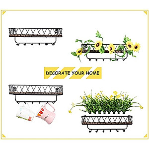 Molaxhome Wall Mounted Storage Shelves,Easy to Mount Wall Wooden Floating Shelf for Bedroom,Farmhouse,Living Room,Bathroom,Kitchen,Office and More DC1A611 (Brown, W4.9xL13.7)