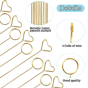 40 Pcs Flower Card Holder Photo Card Holder Floral Picks 12 Inch Metal Floral Place Card Holder Golden Floral Picks Clips Heart Round Shape Flower Ring Loop for Wedding Flower Arrangements DIY Craft