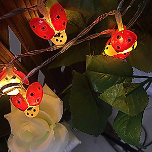 ZLYPSW 20 LED Ladybug Shape String Lights Battery Holiday Wedding Christmas Decoration lamp for Home Balcony Courtyard Garden