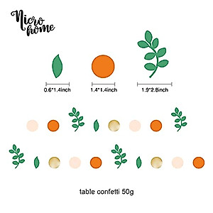 NICROHOME Little Cutie Baby Shower Decorations, 12 PCS Orange Green Tissue Pom Poms Citrus Paper Lanterns Confetti 50G for Summer Party, Birthday, Fruit Party