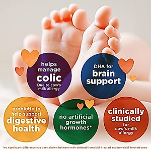 Amazon Brand - Mama Bear Hypoallergenic Infant Formula Powder with Iron, Non-GMO, 1.24 pound (Pack of 1)