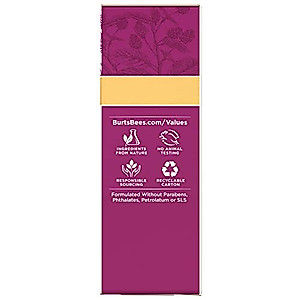 Burt's Bees Renewal Dark Spot Corrector with Bakuchiol Natural Retinol Alternative, 1 Oz (Package May Vary)