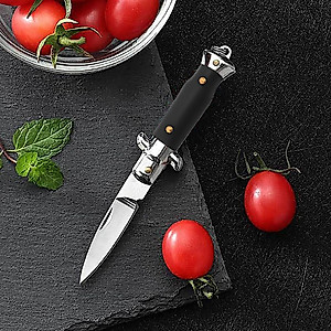 UDANJOVI Small Mini Edc Pocket Knives, Tactical Folding Blade Knives, with Chain Neck Knife Utility Necklace Knife, for Hunting, Survival, Camping,Everyday Carry, Key Accessories