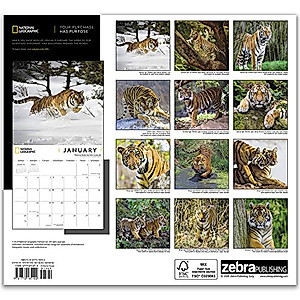 National Geographic Tigers 2021 Wall Calendar