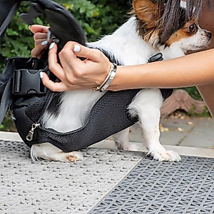 Mr. Pen- Pet Adjustable Dog Carrier Backpacks, Hiking Travel Backpack, Puppy Backpack, Dog Front Carrier