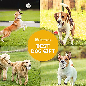 Furmatic Dog Toys for Aggressive Chewers, Indestructible and Interactive Tennis Balls for Dogs, Ideal Herding ball for dogs to Chew Fetch Training, for Large Medium Small Dog and Puppies (Small, 2.5")