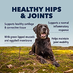 Four Leaf Rover Hip & Joint - Mobility & Joint Support with Glucosamine and Chondroitin for Dogs, 2.4 oz - 22 to 60 Day Supply, Depending on Dog’s Weight - Vet Formulated - Easy to Mix - Delicious