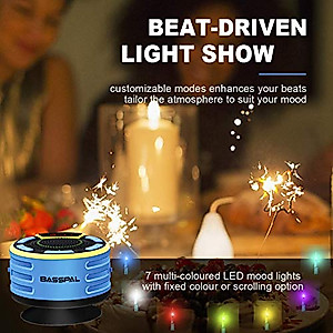 BassPal IPX7 Waterproof Speaker, Bluetooth Portable Wireless Shower Speakers with LED Display, FM Radio, Suction Cup, Light Show, TWS, Loud Stereo Sound for Pool Beach Home Party Travel Outdoors