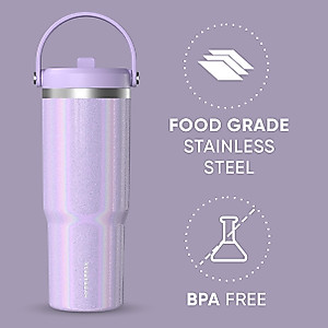 Hydrapeak Nomad 32 oz Tumbler with Handle and Straw Lid, Leakproof Tumbler, Tumbler Lid Straw, Double Insulated Tumblers, 32oz Double Insulated Cup Straw, Stainless Steel (Enchanted Lavender)