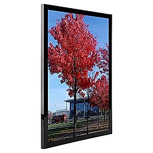 Medog 12x16 Picture Frame Black Display Pictures 12" x 16" Set Of 1 12x16 Black Picture Poster Frame Safety high transparent PC sheet Wall Mounting pin-hook not included (P1ZB 12x16 BA 1P)