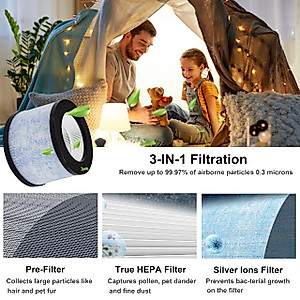 Skydiras MK01 MK06 DH-JH01 Air Filter Replacement, Compatible with AROEVE MK01 MK06 and Kloudi DH-JH01 Air Purifier, Intelabe EPI080/EP1080, and Elechomes EPI081/EP1081 Air Purifier, MG01JH Filter