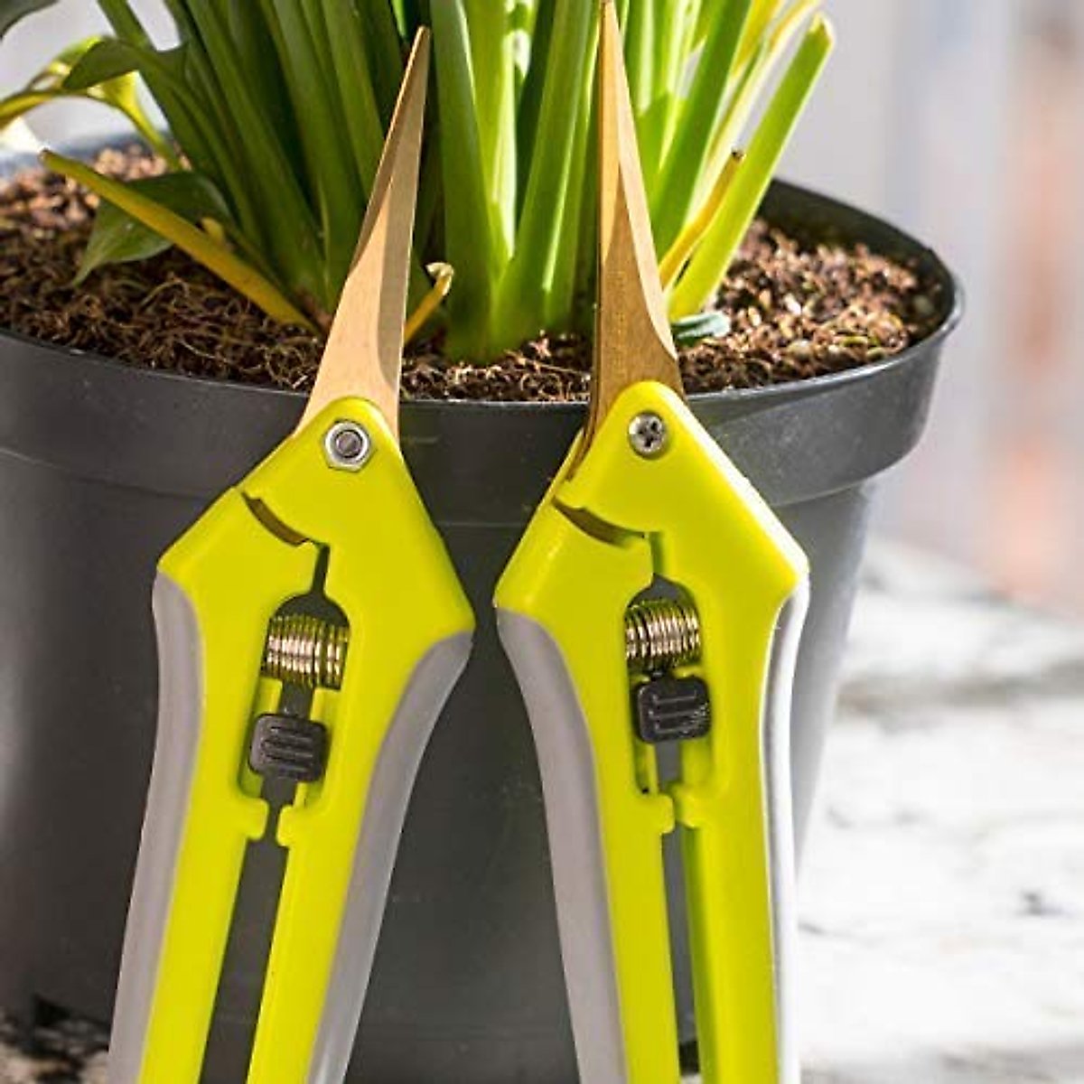 The Relaxed Gardener Gardening Scissors Set - Curved and Straight Titanium Coated Blade Micro Tip Pruning Shears - Super Sharp Trimmers for Plants with Anti-Rust Coating