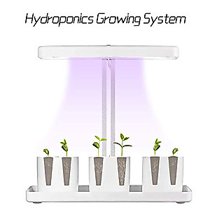 Alphatool 100 Pack Plant Seed Starters Sponges Compatible Seed Grow Pod Replacements Root Growth Sponges Gardening Accessories Fits AeroGarden Hydroponic Garden System Seed Starting