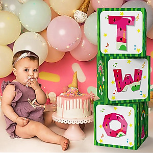 Cartoon Melon 2nd Birthday Balloon Boxes Party Supplies Decorations, 3pcs Watermelon One In A Melon Theme Party Gift Boxes Blocks Decor with TWO Cake Smash Backdrop