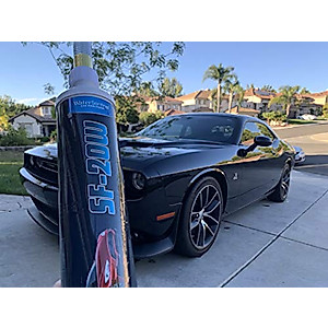 WaterSentinel SF-20W Spotless Car Wash Inline Deionized Water Garden Hose Water Filter & Extension Adapter for RV, Boat, Marine, Motorcycle, Home, Windows, Spot Free Wash, Solar Panels