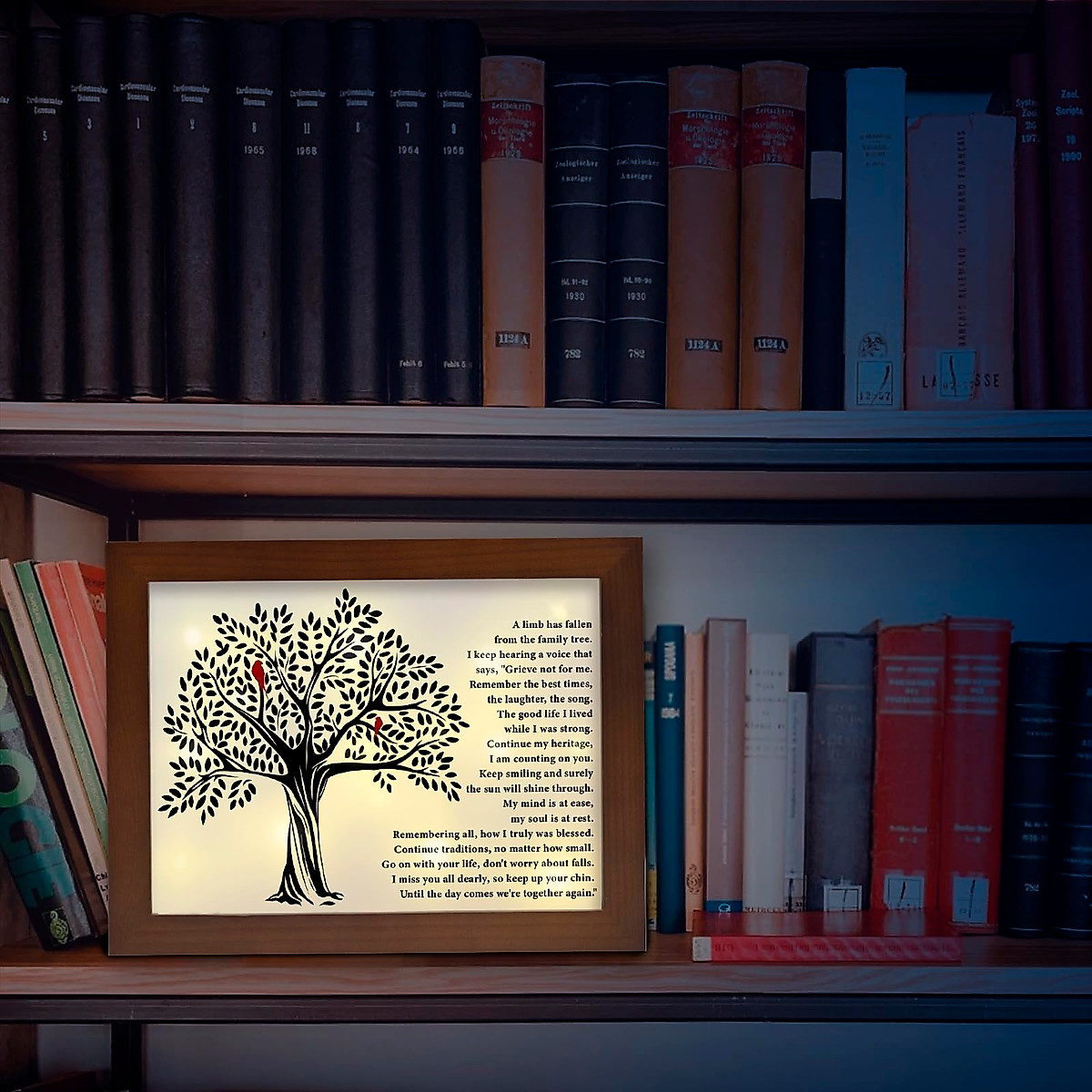 Sympathy Gift in Heaven LED Memorial Shadow Boxes, Memorial Gifts for Loss of Loved One, Bereavement Gifts Condolences Gifts for Loss of Mother Father Cousin Grandparents Friend