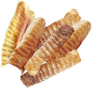 hotspot pets Premium Beef Trachea for Dogs 6" Strips Split -(20 Pack) All Natural Grass-Fed Beef Dog Chews, Rich in Glucosamine Chondroitin for Joint Health, Single Ingredient No Rawhide Dog Treats