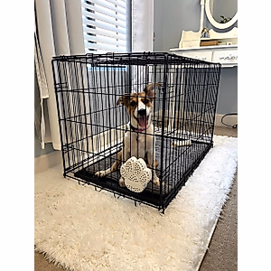 Rescue Retriever- Smoke Detector for pet Rescue in a Smoke or fire Emergency.