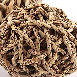 Dolland Bird Ball Toy Round Shape Parakeet Chewing Toy Pet Hamster Small Pet Playing Cage Part Toy