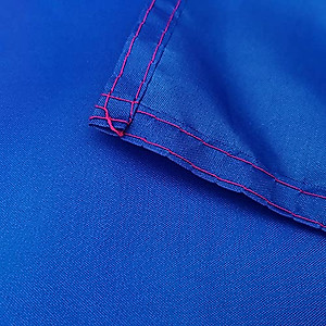 OZ 3x5ft Polyester LGBT BI Bisexual flag for wall Bi flag for Room Bisexual flag cape Bi flag Tapestry-pack of 2