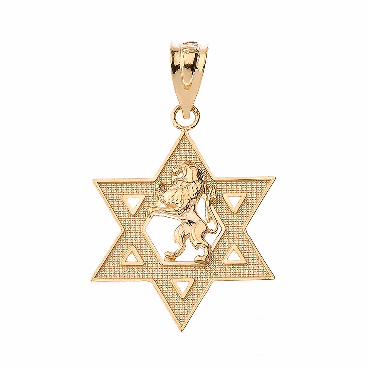 Certified 14k Yellow Gold Israel Lion of Judah Magen David Star Hebrew Pendant