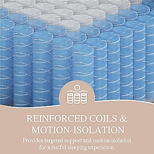 Sleepmax King Mattress 14 Inch - Hotel-Collection Hybrid Mattress Pain Relief - Deep Sleep Mattress Extra Lumbar & Hip Support - Motion-Isolation Bed in a Box, CertiPUR-US Certified, 365-Night Trial