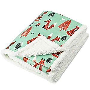 BORITAR Sherpa Throw Blanket Super Soft Warm Ultra Luxurious Fleece Blanket for Baby Children Teen Boys, Unisex or Adult Minky Blanket with Sherpa Plush Backing (50 x 60 Inch, Lovely Brown Fox)