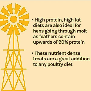 New Country Organics | Flock Perfect Chicken Dance Grubs for Chickens | 3.5 lbs