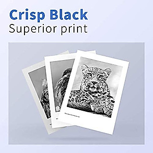 MYCARTRIDGE SUPRINT 822XL Black Ink Cartridge Combo Pack Remanufactured Ink Cartridge Replacement for EPSON 822XL 822 XL T822 T822XL for Workforce Pro WF-3820 WF-4833 WF-4830 WF-4820 Printer 822XL