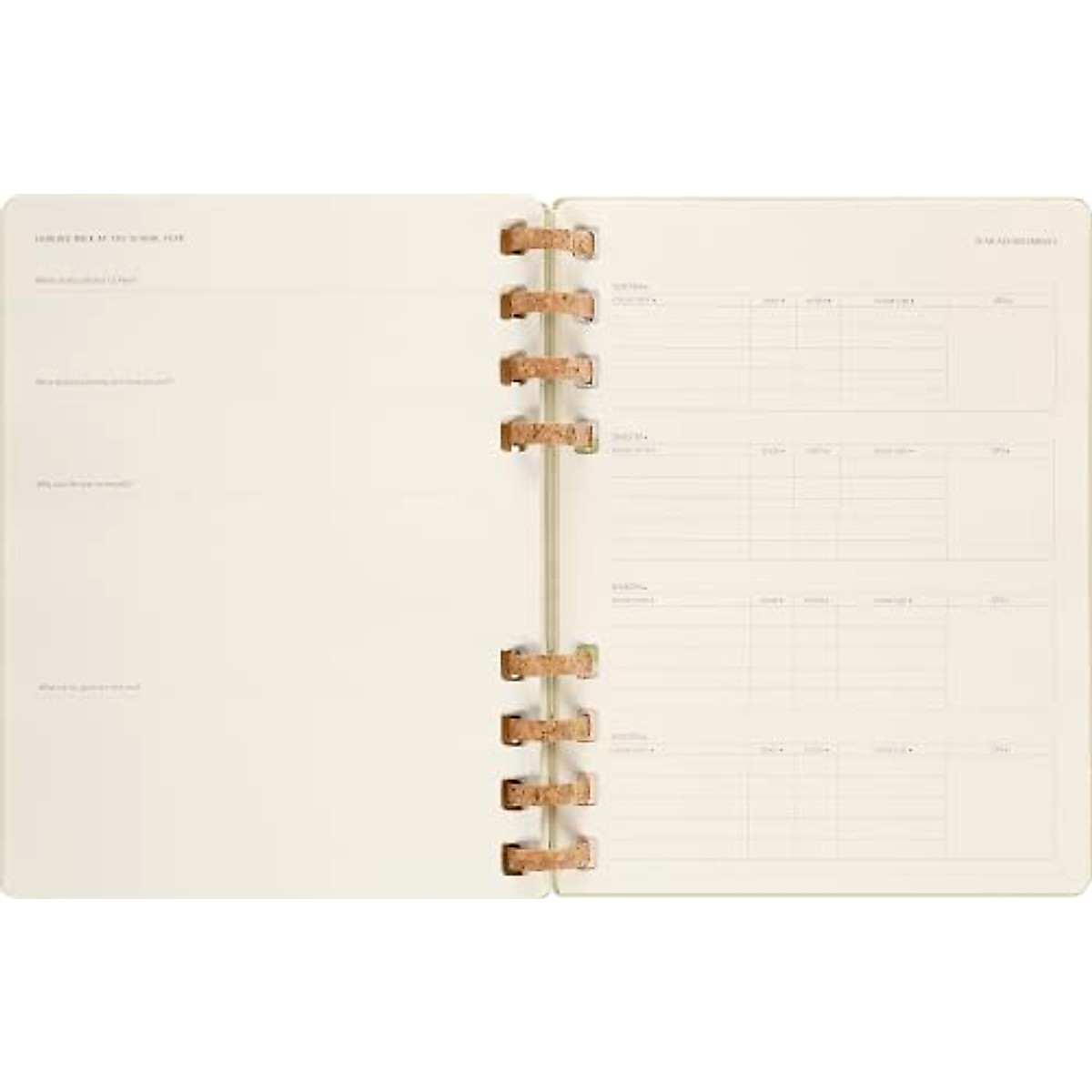 Moleskine 2024 Spiral Academic Planner, 12M, Extra Large, Crush Kiwi, Hard Cover (7.5 x 10)