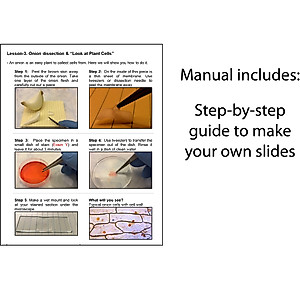 30 ML (1 oz) Methylene Blue and Eosin Y Solutions in Amber Glass Dropper Bottles (for Microscopy)