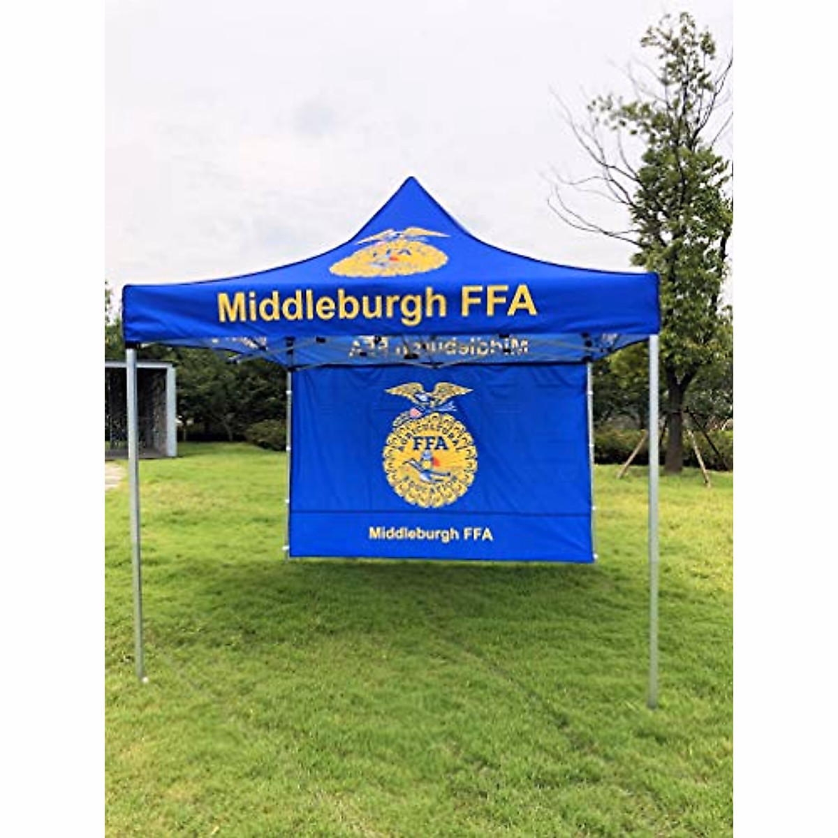 NaBai Canopy Pop Up Tent for Tradeshow 10 x 10 feet, Advertising Gazebos with Your Logo (10x10 top Canopy+one Full Wall+13kgs Aluminum Alloy Frame)