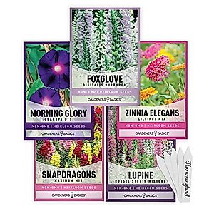 Hummingbird Seeds for Planting Outdoors Flower Seeds (5 Variety Pack) Zinnia, Foxglove, Lupine, Morning Glory, Snapdragons Varieties for Bees, Pollinators Wildflower Seed by Gardeners Basics