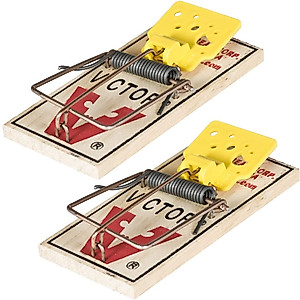 VICTOR Easy Set Mouse Trap - 2Pk