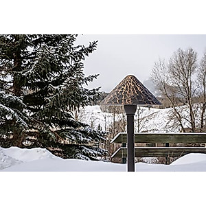 LEONLITE LED Landscape Path Light, 3W 147LM 12-24V AC/DC ETL CRI90+ Wired Outdoor LED Walkway Light, Unique Vintage Golden Texture, Aluminum Construction Low Voltage Pathway Lights IP65 3000K, 4 Pack