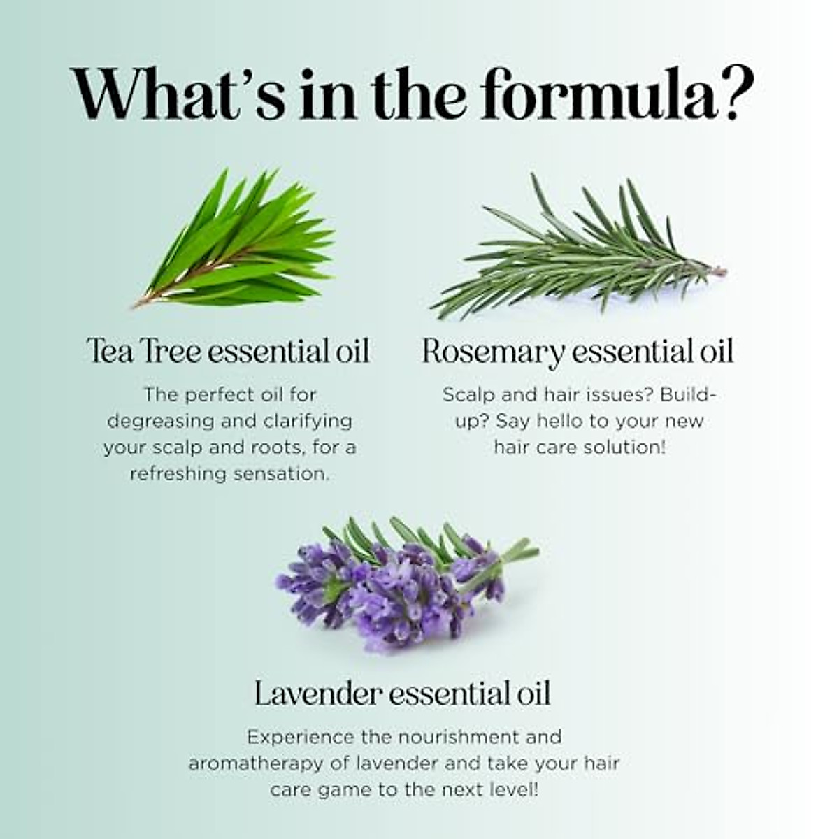 Purifying Rosemary Shampoo Sulfate Free - Lavender Rosemary and Tea Tree Shampoo for Thinning Hair and Scalp Care - Paraben and Sulfate Free Clarifying Shampoo for Build Up with Essential Oils