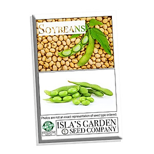 Soybeans Seeds for Planting, 25+ Heirloom Seeds Per Packet, (Isla's Garden Seeds), Non GMO Seeds, Botanical Name: Glycine max, Great Home Garden Gift