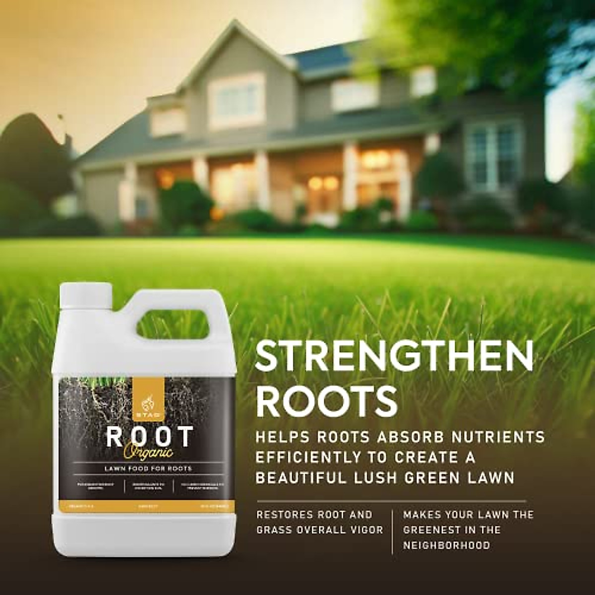 Root Organic Lawn Fertilizer - Grass Fertilizer for Lawn with Potassium for Root Growth, Lawn Fertilizer That Conditions Soil, No Harsh Chemicals Lawn Care, 32 oz Lawn Food for 5,000 sq. ft.