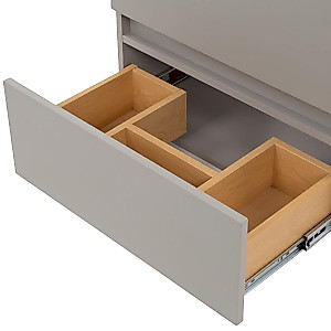 Spring Mill Cabinets Innes 24 Inch Floating Bathroom Vanity with White Single Sink Top, 2 Soft-Close Drawers, 24.5" W x 18.75" D x 22.25" H, Gray