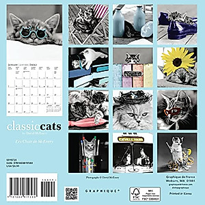 Graphique 2024 Classic Cats Mini Wall Calendar | 7” x 7” | Thick Paper | Home & Office Organizer | Large Monthly Grid | 3 Languages & Marked Holidays | 4 Month Preview Page for 2025