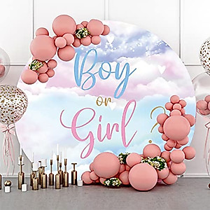 DASHAN Boy or Girl Ggender Reveal Decorations Backdrop Baby Gender Reveal Party Supplies Gender Reveal Backdrop Banner Blue Pink Clouds Round Backdrop 6.5x6.5ft Polyester